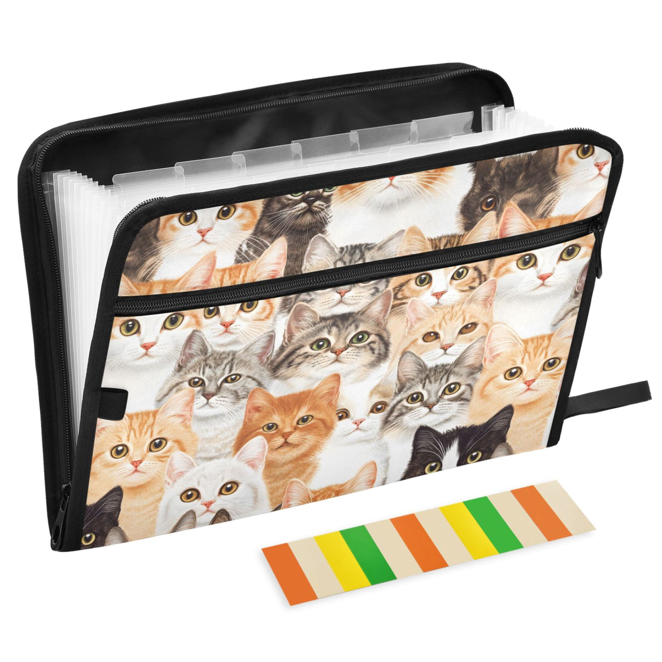 ALAZA Expanding File Folder 13 Pockets Accordion Document Organizer ...