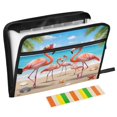 ALAZA Expanding File Folder 13 Pockets Accordion Document Organizer ...