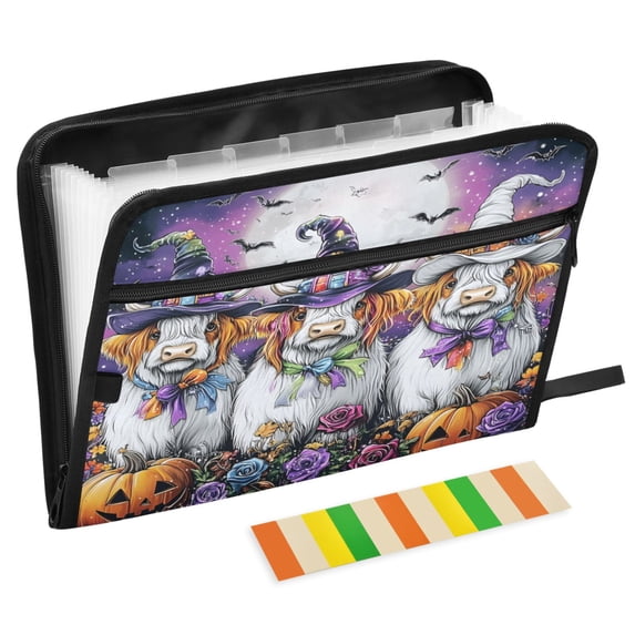 ALAZA Expanding File Folder 13 Pockets Accordion Document Organizer ...