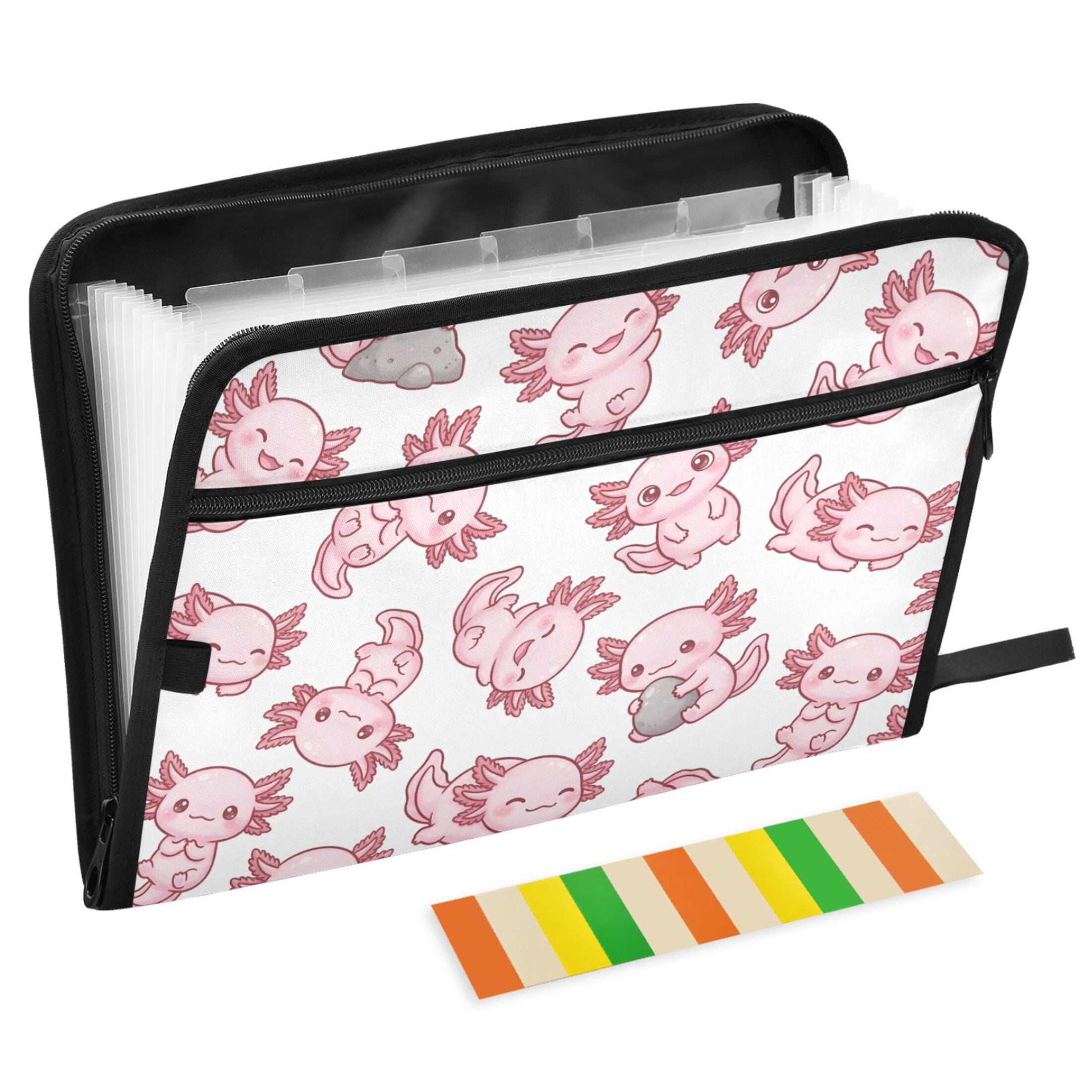 ALAZA Expanding File Folder 13 Pockets Accordion Document Organizer ...