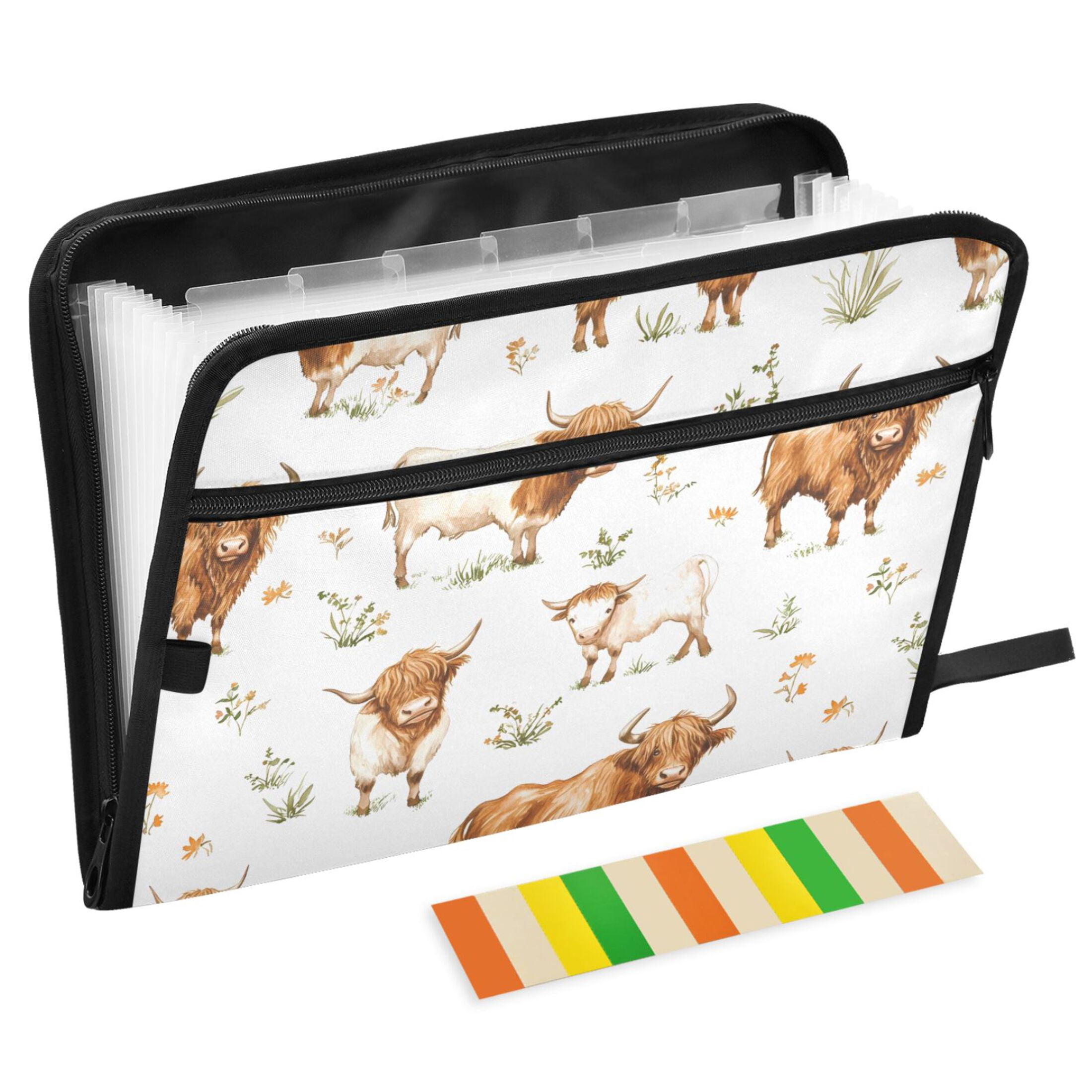 ALAZA Expanding File Folder 13 Pockets Accordion Document Organizer ...