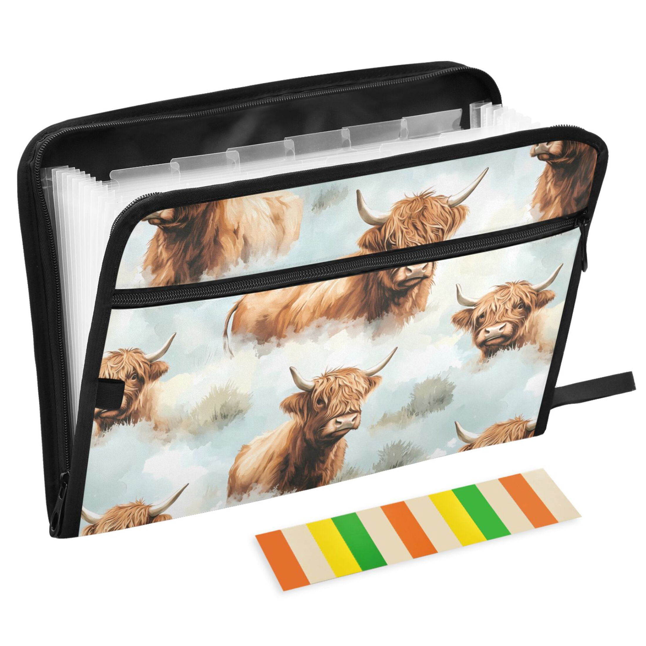 ALAZA Expanding File Folder 13 Pockets Accordion Document Organizer ...
