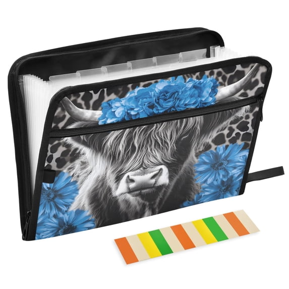 ALAZA Expanding File Folder 13 Pockets Accordion Document Organizer ...
