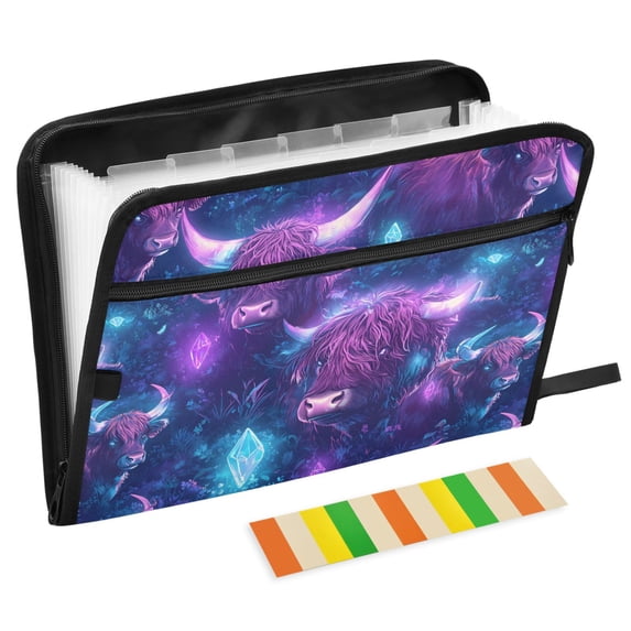 ALAZA Expanding File Folder 13 Pockets Accordion Document Organizer ...
