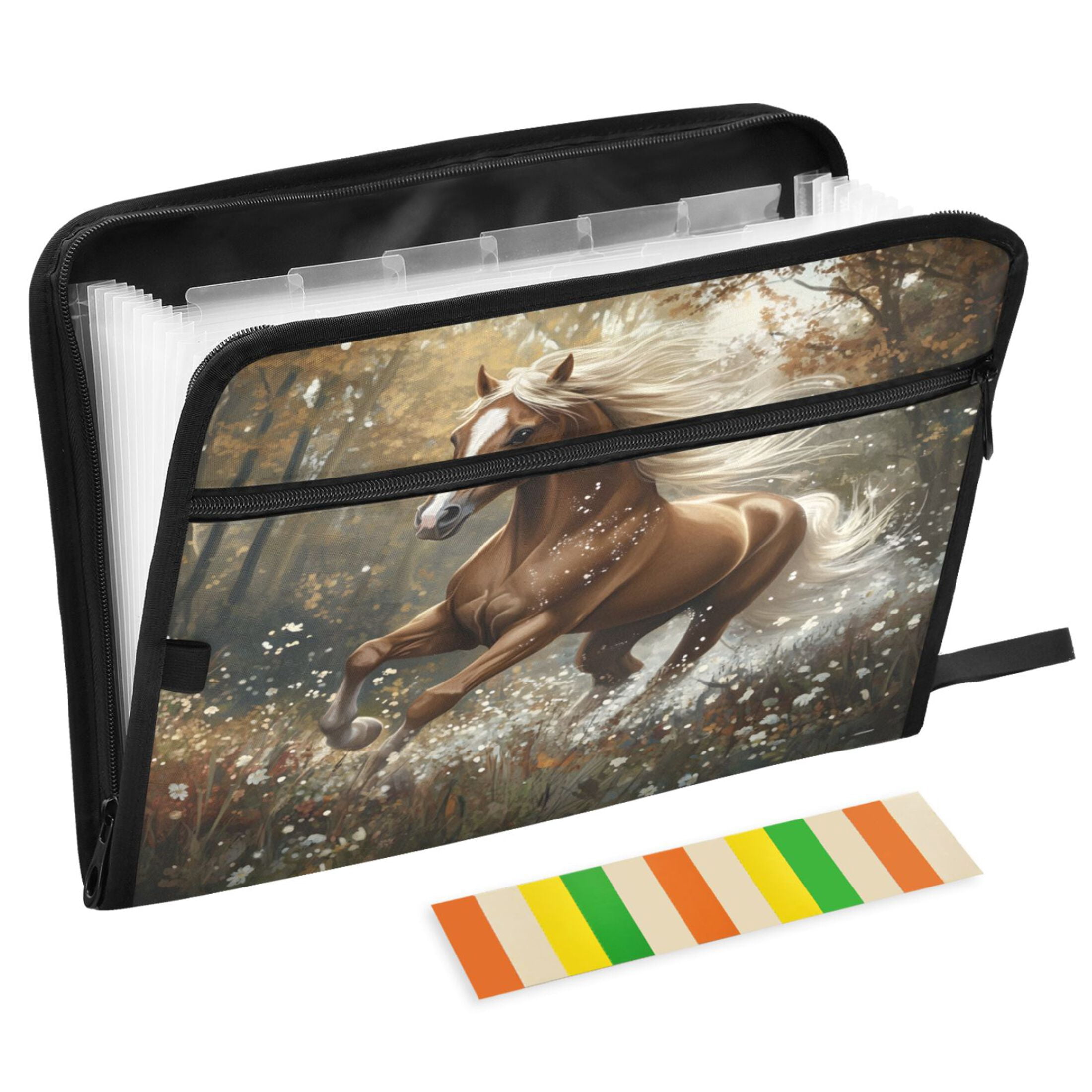 ALAZA Expanding File Folder 13 Pockets Accordion Document Organizer ...
