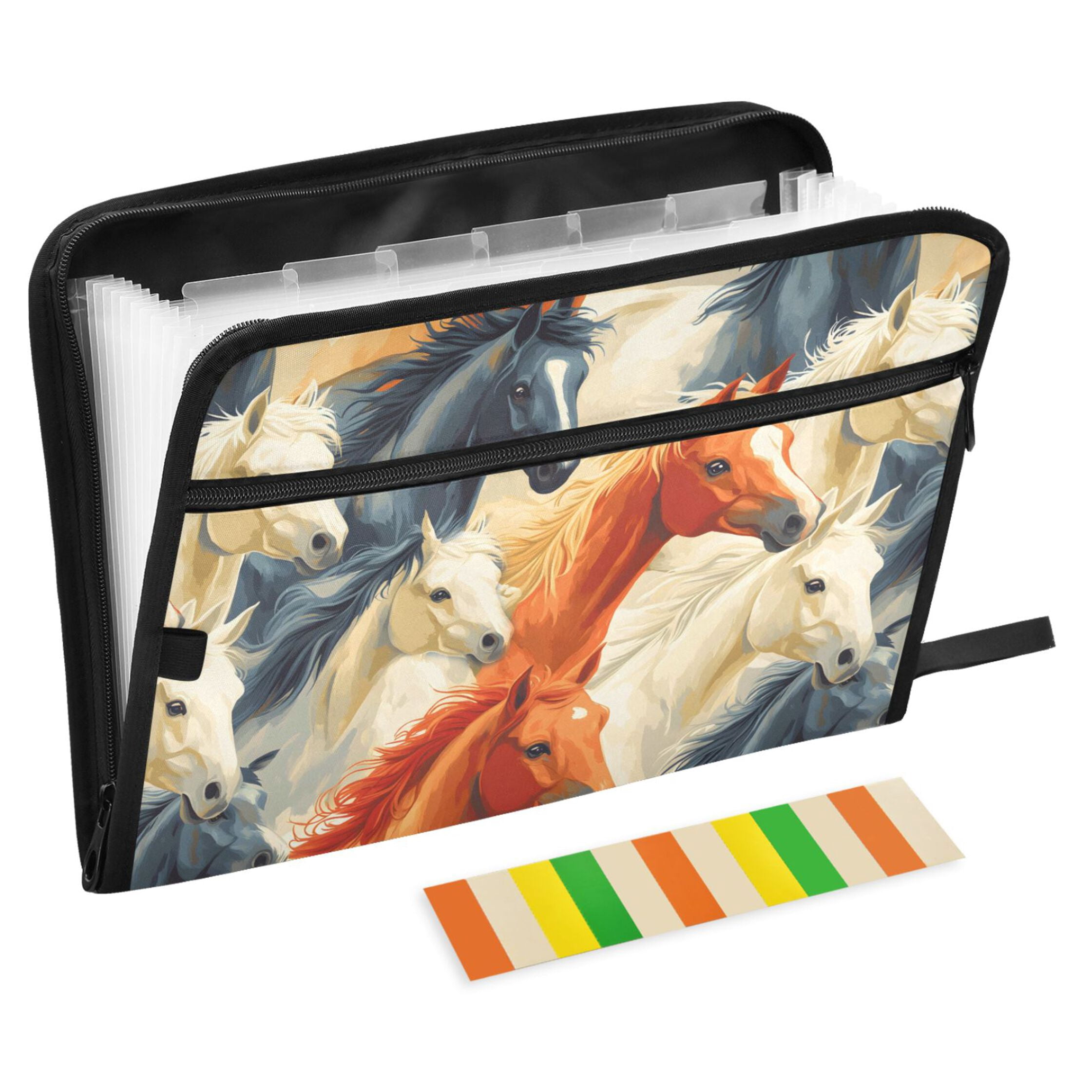 ALAZA Expanding File Folder 13 Pockets Accordion Document Organizer ...