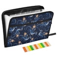 ALAZA Expanding File Folder 13 Pockets Accordion Document Organizer ...