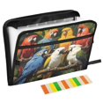 ALAZA Expanding File Folder 13 Pockets Accordion Document Organizer ...