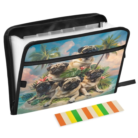 ALAZA Expanding File Folder 13 Pockets Accordion Document Organizer ...