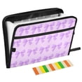 ALAZA Expanding File Folder 13 Pockets Accordion Document Organizer ...