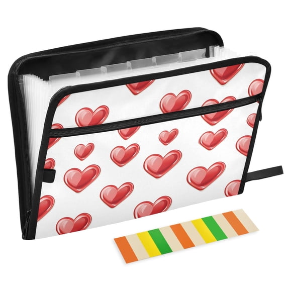 ALAZA Expanding File Folder 13 Pockets Accordion Document Organizer ...