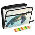 ALAZA Expanding File Folder 13 Pockets Accordion Document Organizer ...