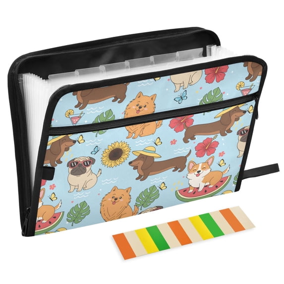 ALAZA Expanding File Folder 13 Pockets Accordion Document Organizer ...