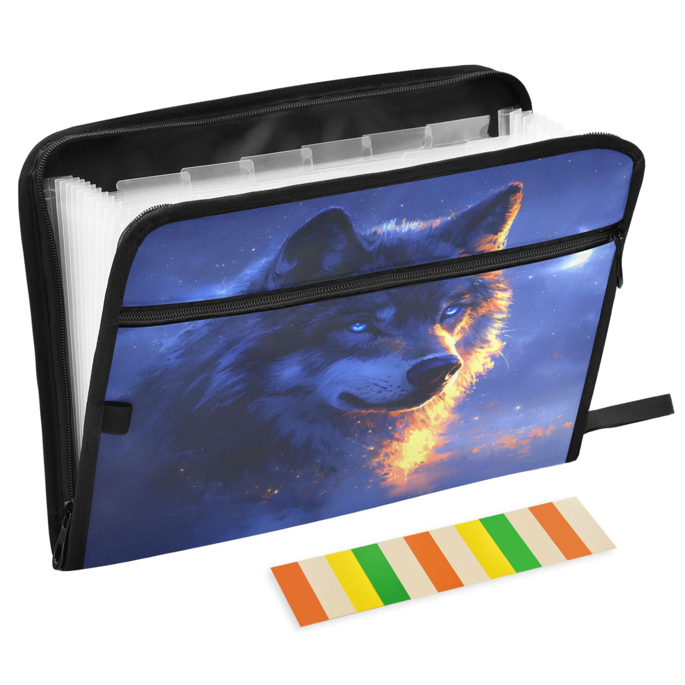 ALAZA Expanding File Folder 13 Pockets Accordion Document Organizer ...