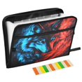 ALAZA Expanding File Folder 13 Pockets Accordion Document Organizer ...