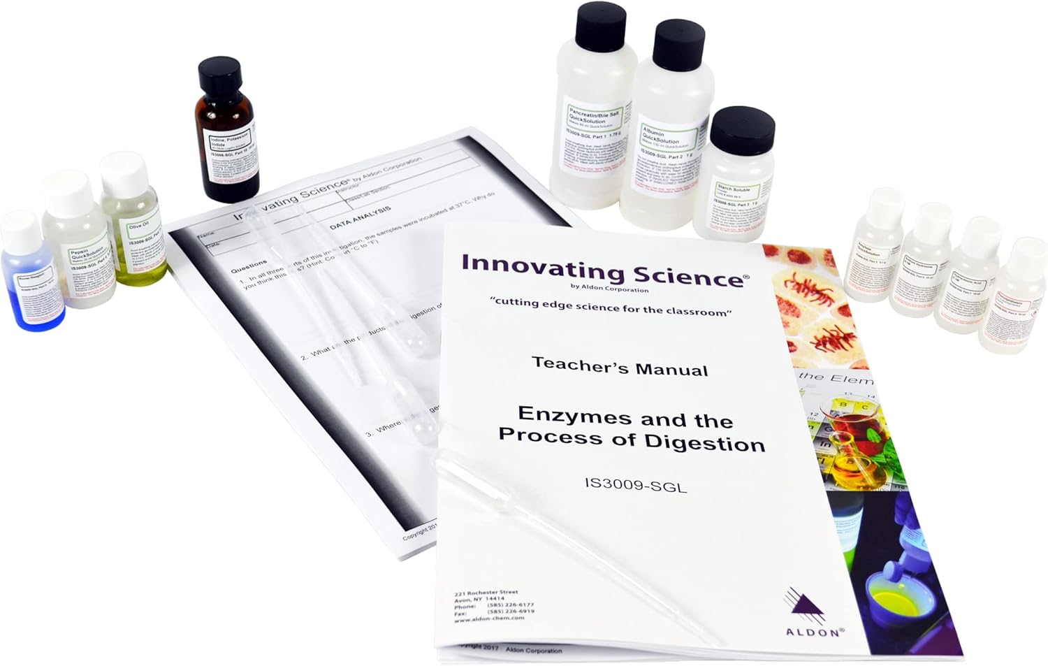 ALDON Enzymes and The Process of Digestion Kit: Small Group Learning by ...