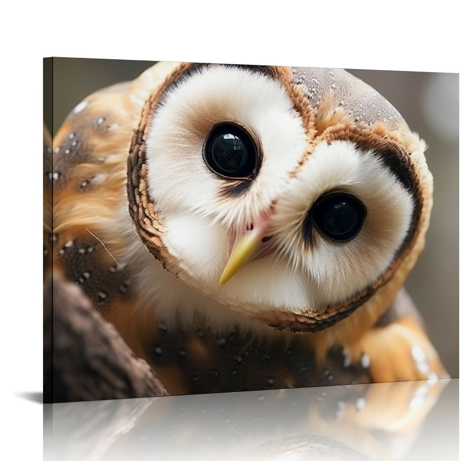 ALEPADNF Canvas Print Wall Art White Owl with Twisted Head Animals ...