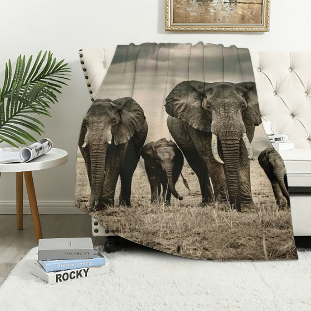 ALEPADNF Elephants Baby Elephant Grass Field Ideal Comfy Throw Blanket ...
