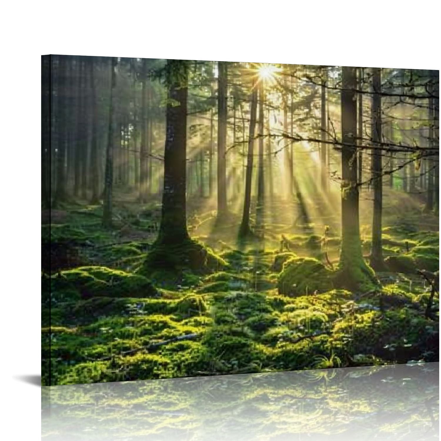 ALEPADNF Forest Wall Art for Living Room Bedroom Office Large Nature Landscape Forest Canvas ...