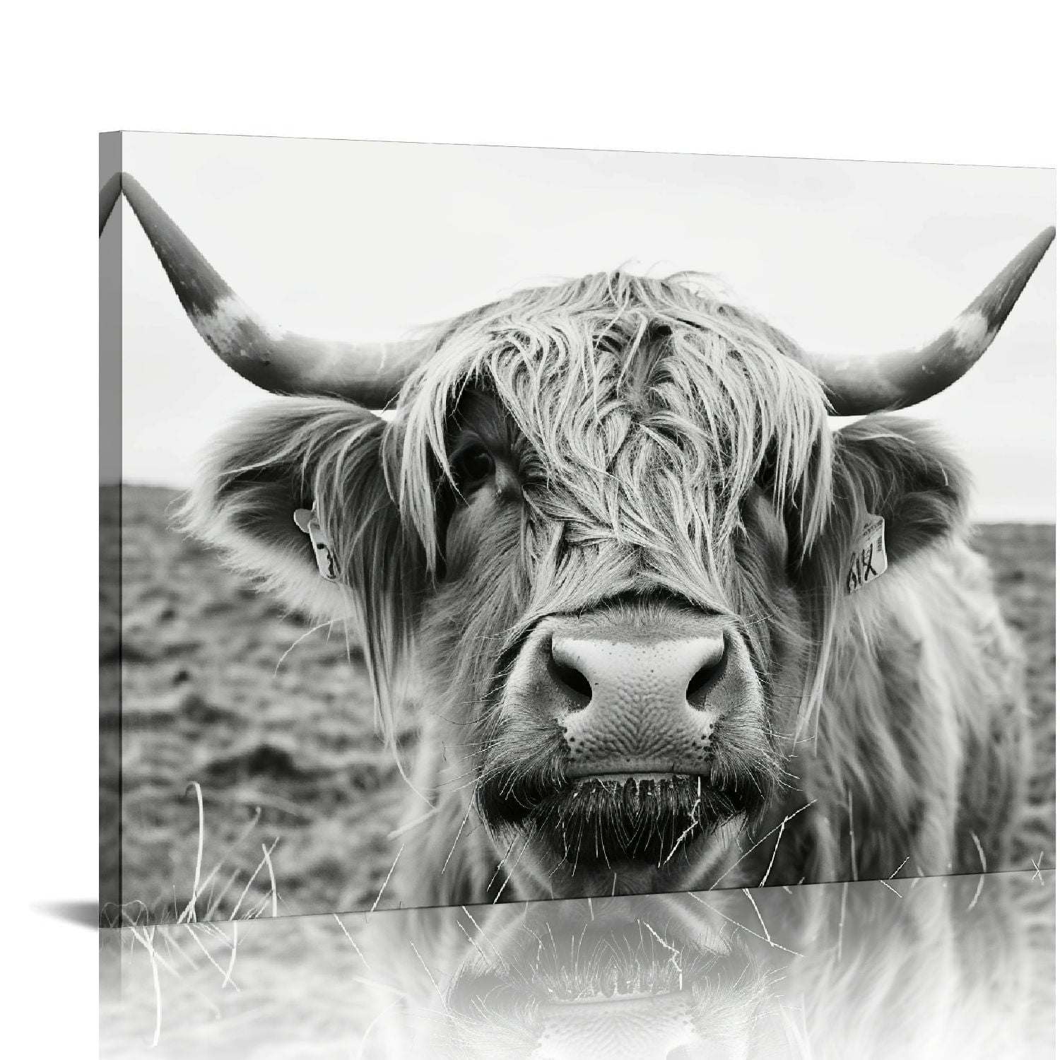 ALEPADNF Highland Cow Pattern Canvas Wall Art Farmhouse Prints Photo ...