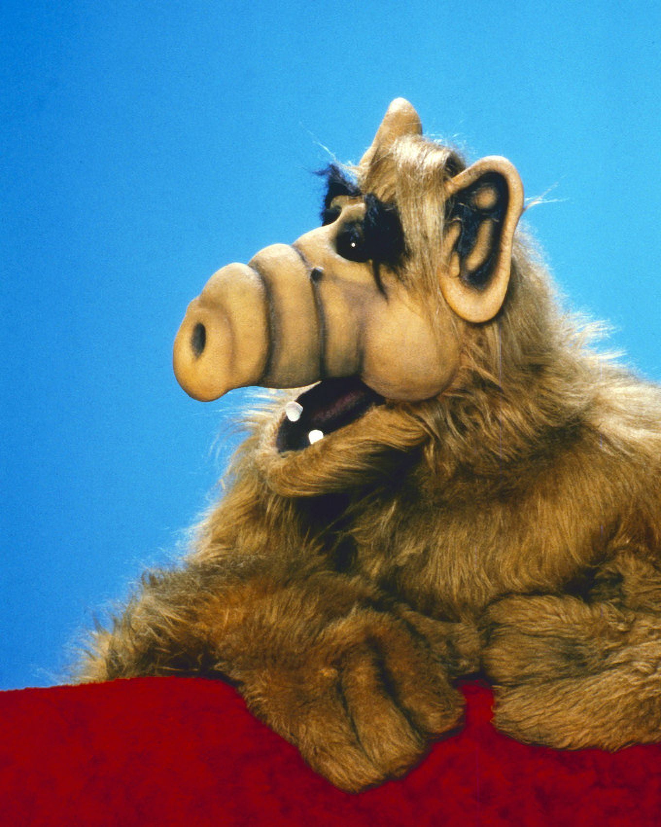 ALF portrait of Alien Life Form behind couch 24x36 Movie Poster HD ...
