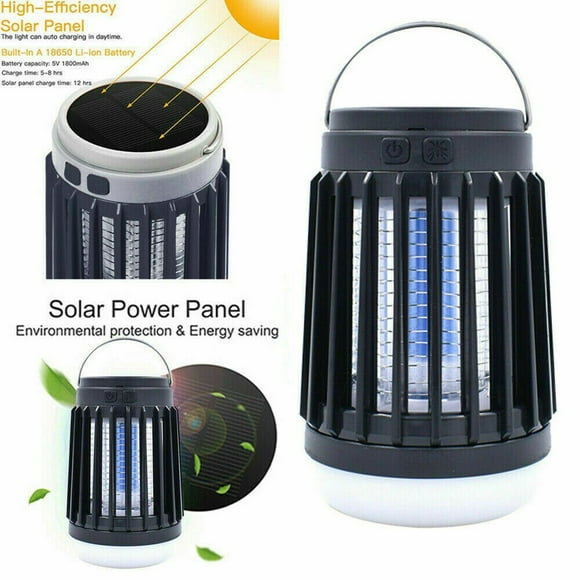 Bug Solar Lights