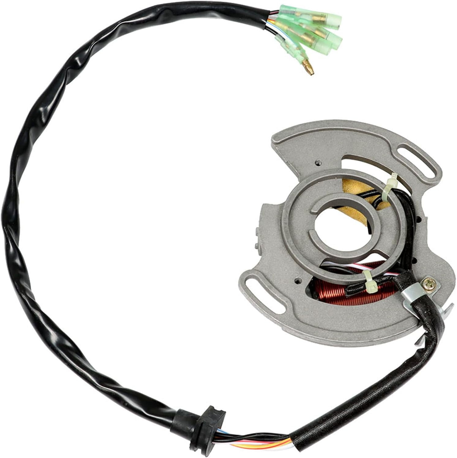 ALL-CARB Stator For Yamaha Blaster 200 YFS200 2003 2004 2005 2006 /5VM ...