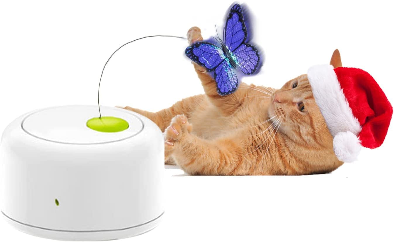 ALL FOR PAWS Cat Toys Flutter Bug Cat Wand Toy Interactive Cat Toy Cat ...