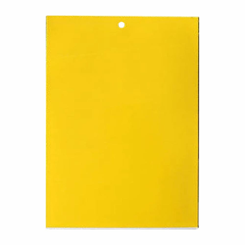 ALL INSECT TRAPS Clear sticky glue boards sheets Sticky insect board ...