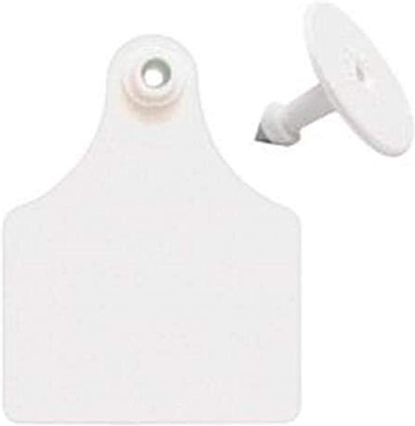 ALLFLEX USA GXF/GSMW 319281 Ear Tag, Blank, White, Maxi - Walmart.com