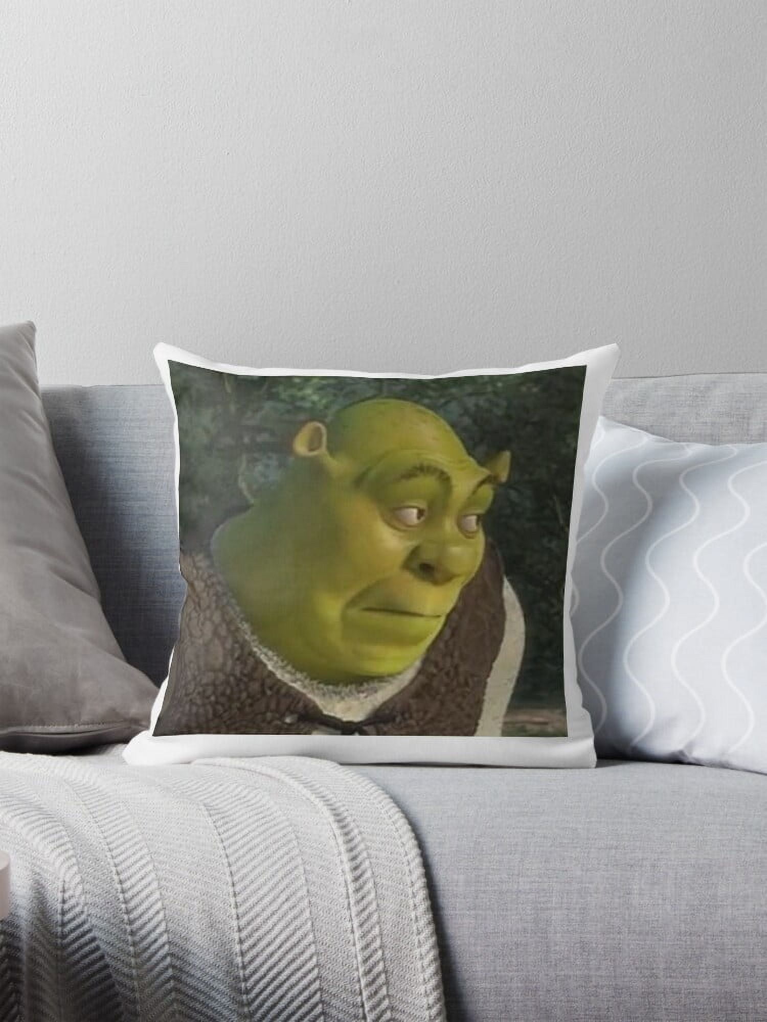 ASPORIC Shrek Meme Drip Throw Pillow Covers 1 Pack Farmhouse Home Decor ...