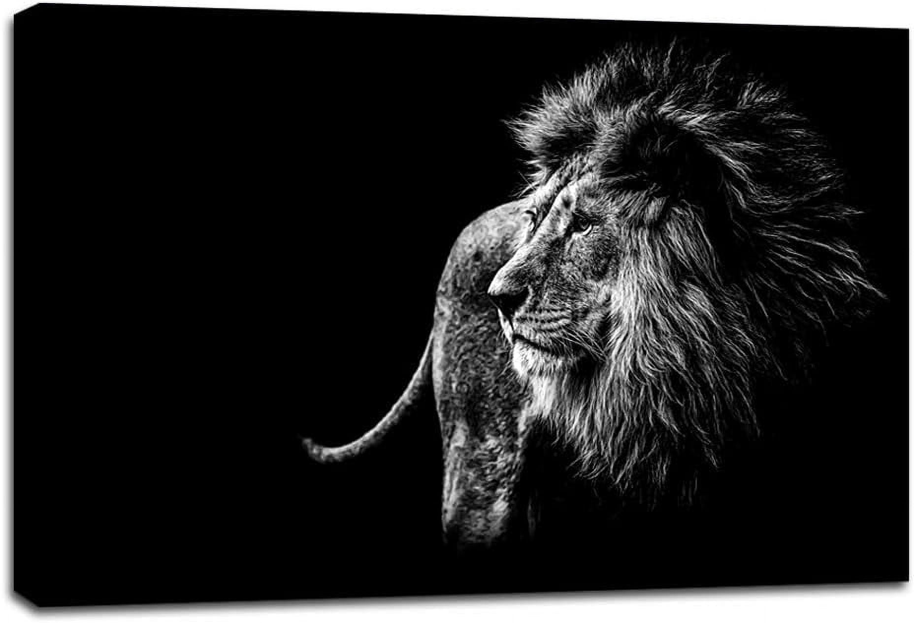 ALOUYA A Lion on Balck Background - Black and White Animal Giclee Print ...