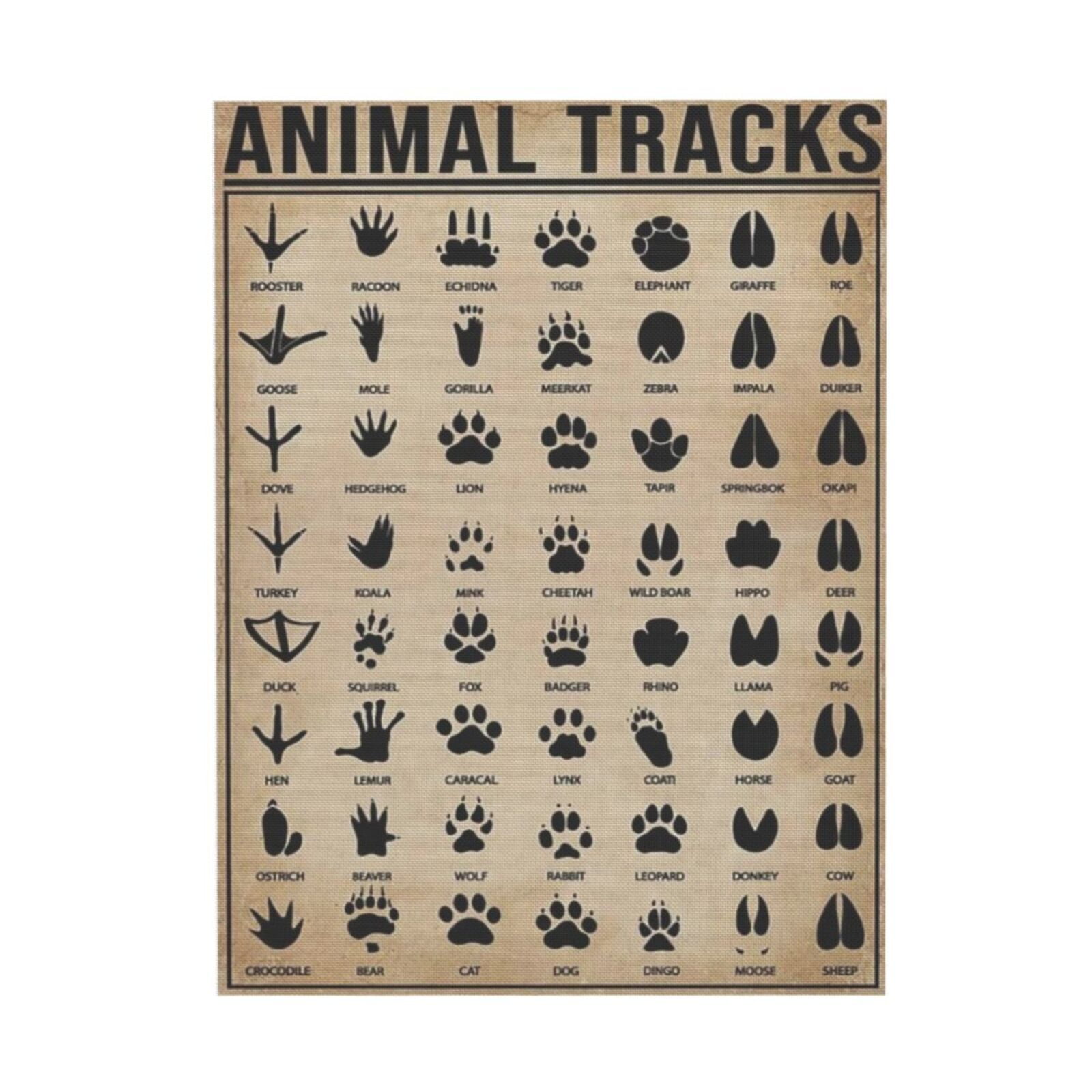 ALOUYA Animal Tracks Poster Wall Decor Vintage Educational Wall Art Of ...
