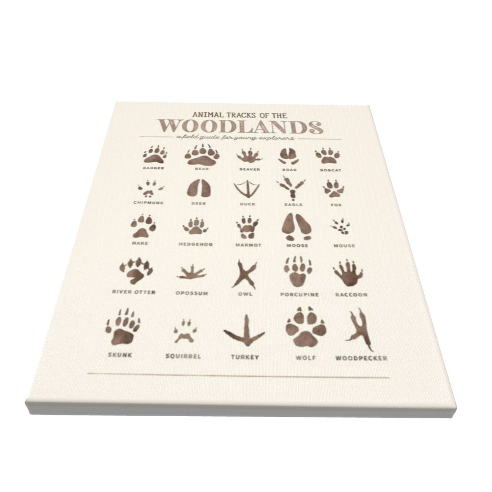 ALOUYA Animal Tracks Print, Woodland Animal Prints Poster, Woodland ...