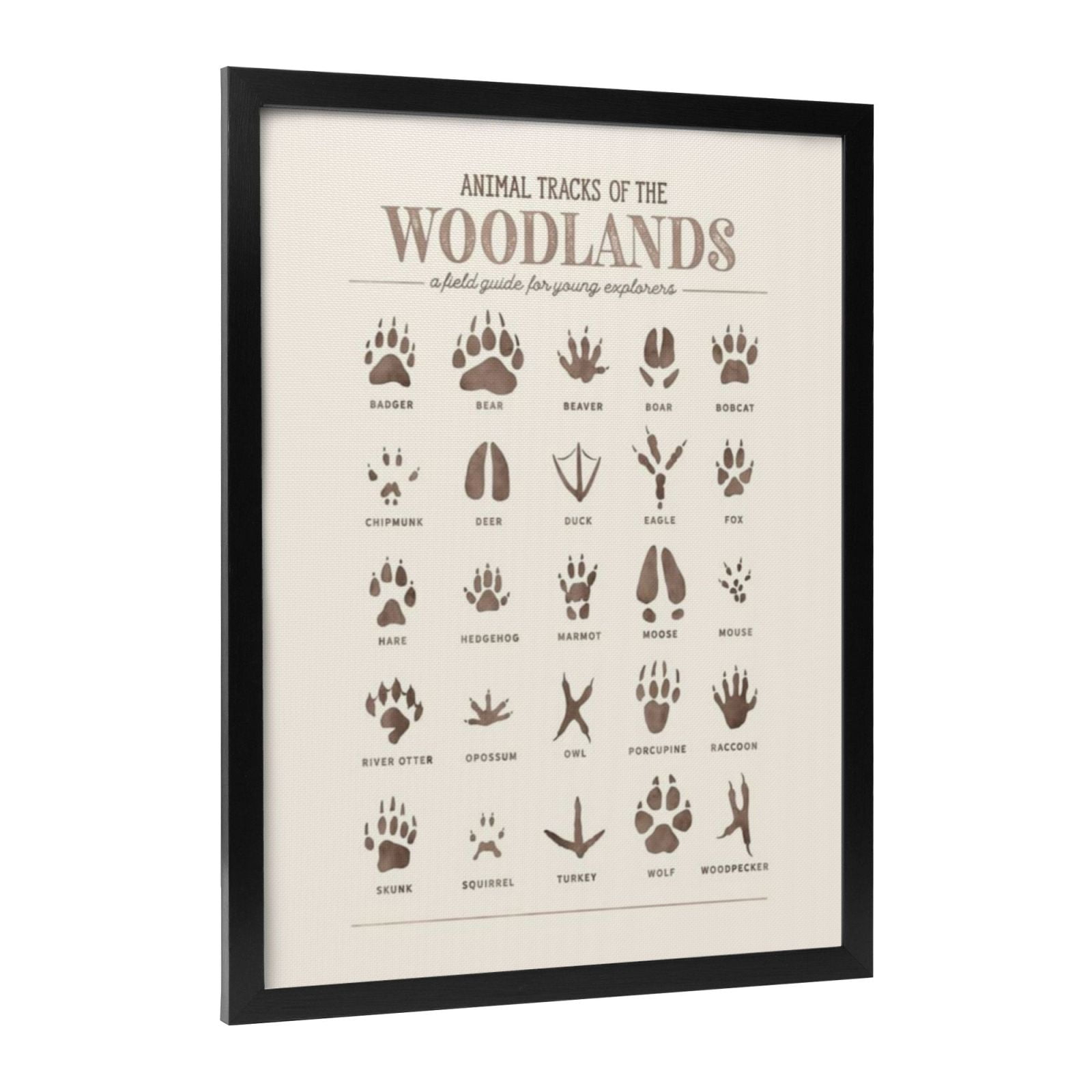 ALOUYA Animal Tracks Print, Woodland Animal Prints Poster, Woodland ...
