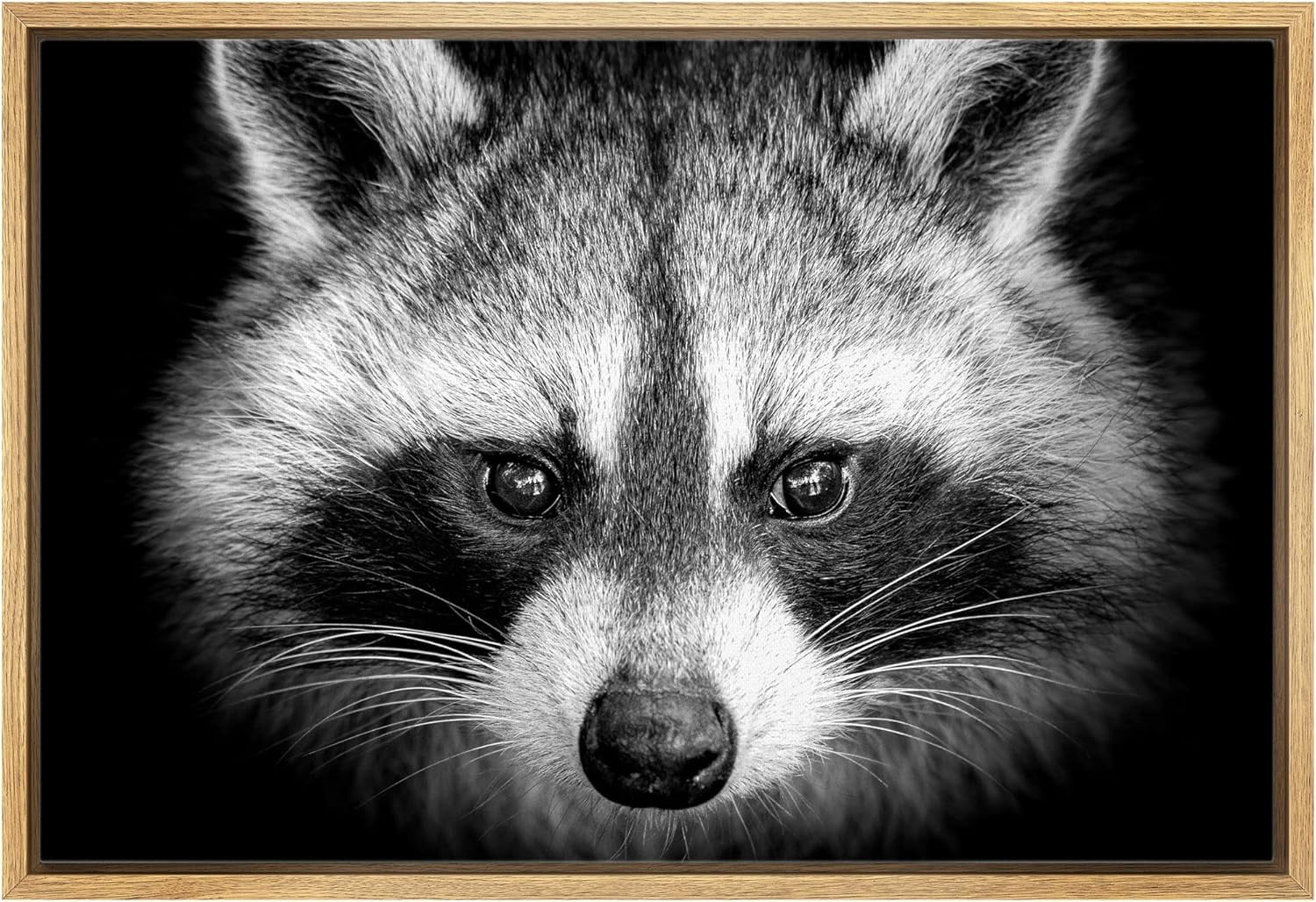 ALOUYA Canvas Print Wall Art Black & White Forest Raccoon Close Up ...
