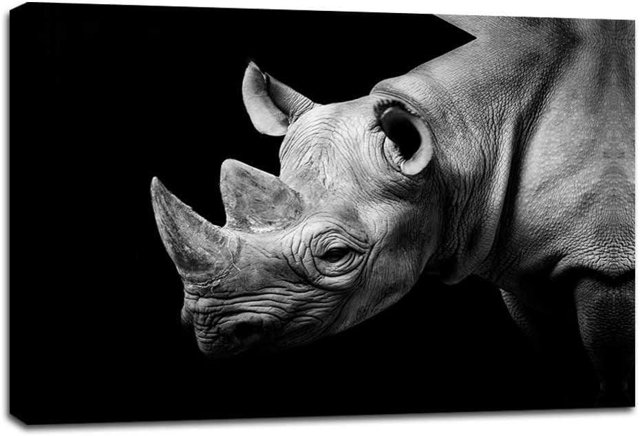 ALOUYA Modern Animal Painting Black and White Rhinoceros Canvas ...