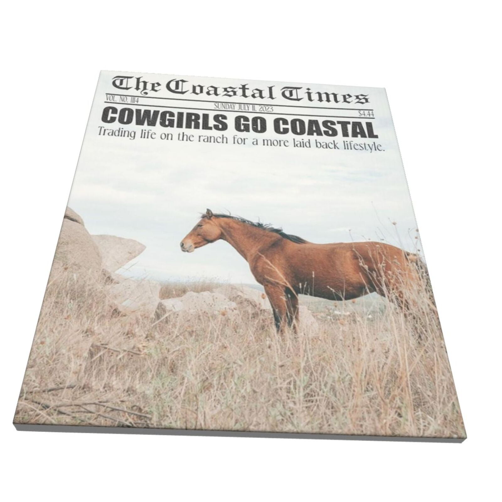 ALOUYA Vintage Summer Western Cowgirls Coastal Wall Art Funky Beach ...