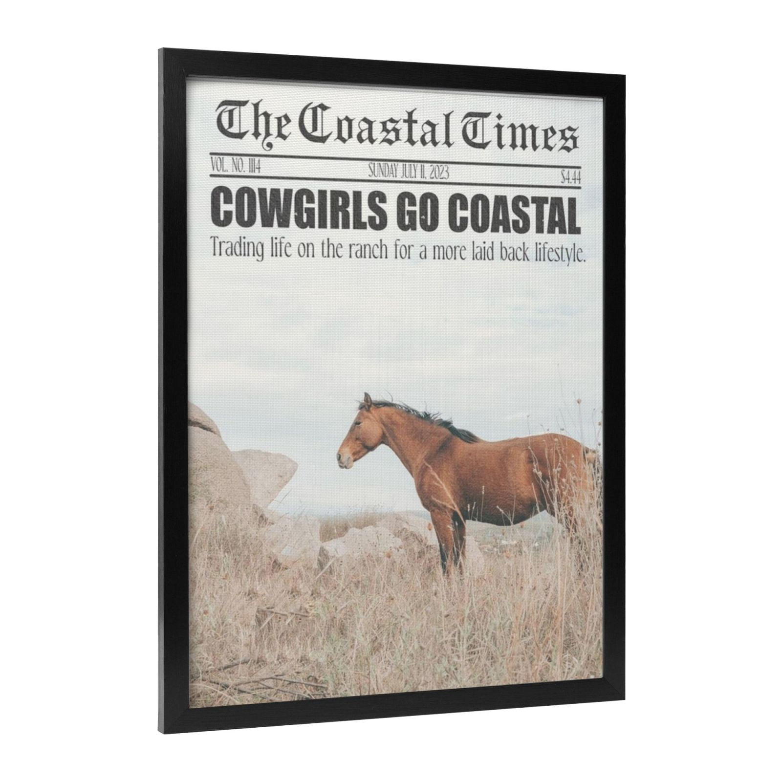 ALOUYA Vintage Summer Western Cowgirls Coastal Wall Art Funky Beach ...