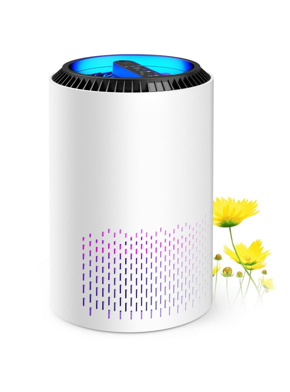 HEPA Air Purifiers in Air Purifiers - Walmart.com