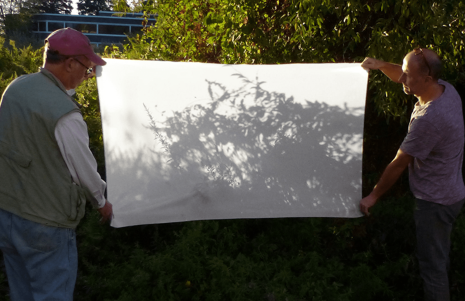 ALZO Diffusion Fabric Nylon White Light Modifier, 1 Yard Long 60 Inches ...