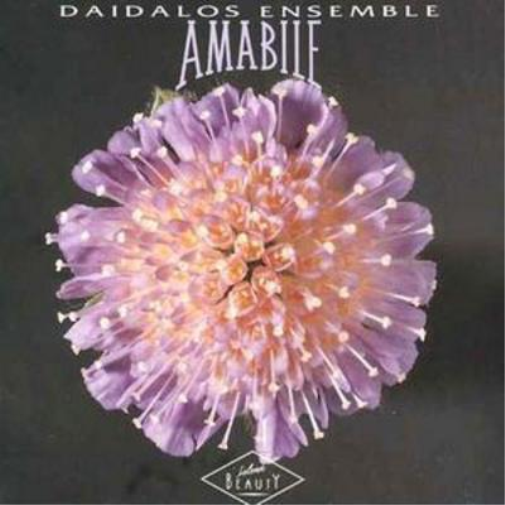 Amabile Daidalos Ensemble (CD) - Walmart.com