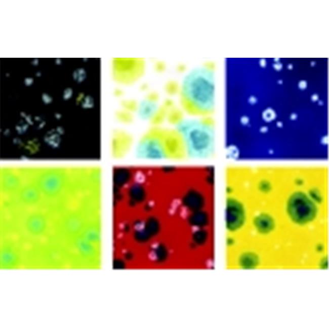 Amaco Non-Toxic Crystaltex Glazes - Set of 6, Pint - Walmart.com