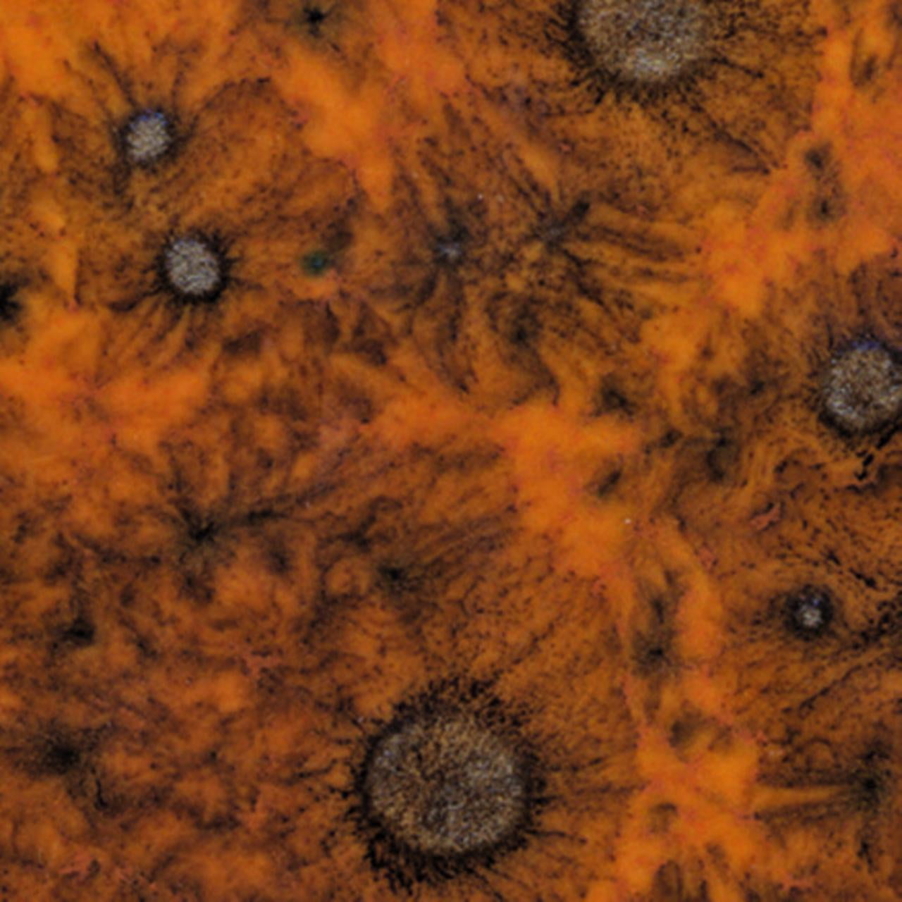 AMACO Crystaltex Glaze, Desert Tortoise CTL-37, 1 Pint - Walmart.com