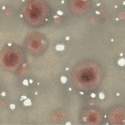 AMACO Crystaltex Glaze, Moon Scape CTL-15, 1 Pint - Walmart.com