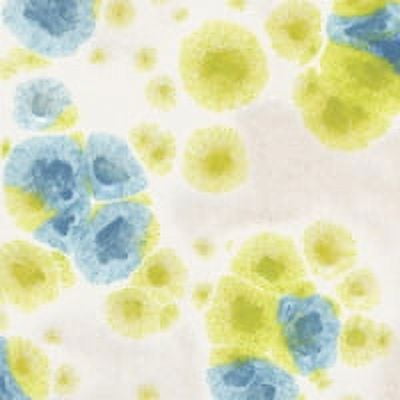 AMACO Crystaltex Glaze, Peppermint Ice CTL-10, 1 Pint - Walmart.com