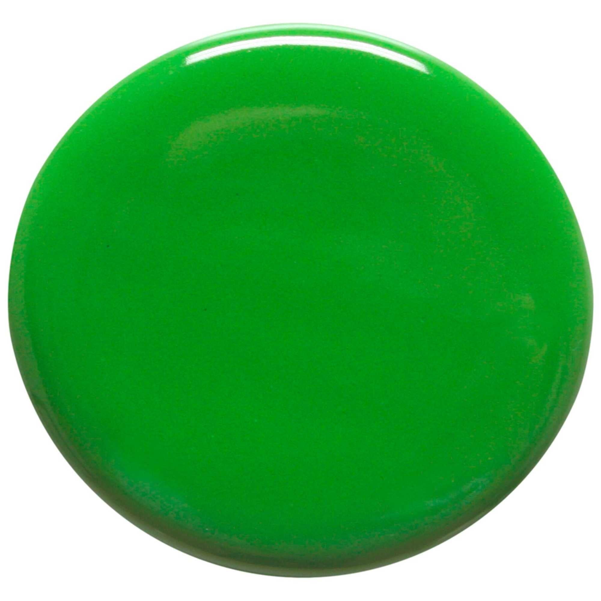 AMACO Teacher's Palette Glaze, TP-41 Frog Green, Semi-Opaque, Pint ...