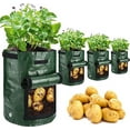 AMAXUN 10 Gallon Fabric Garden Grow Bags for Tomatoes, Potatoes, Fruits ...