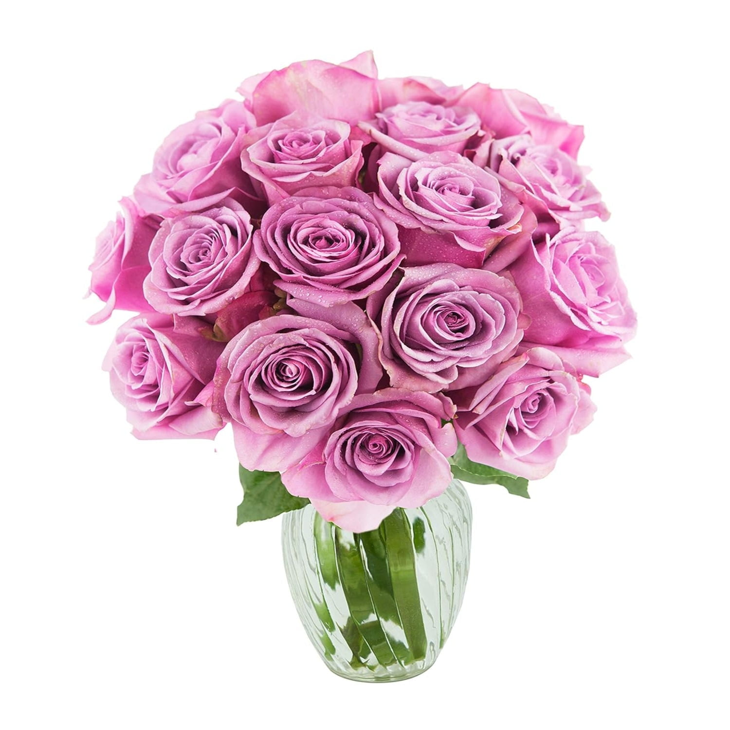 KaBloom: 18 Purple Roses in vase, Next-Day Delivery, Gift for Every ...