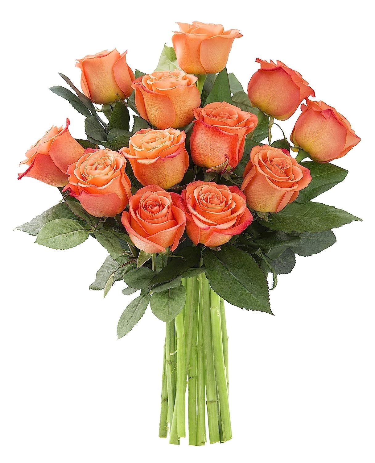 KaBloom : 12 Orange Roses, Next-Day Delivery, Gift for Every Occasion. - Walmart.com